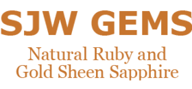 cropped-sjw_letterhead4.png – SJW Gems